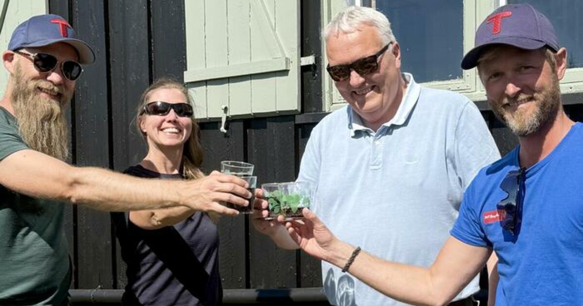 Årets sommergave til Ringeriksregionen! - SpareBank 1-stiftelsen Ringerike